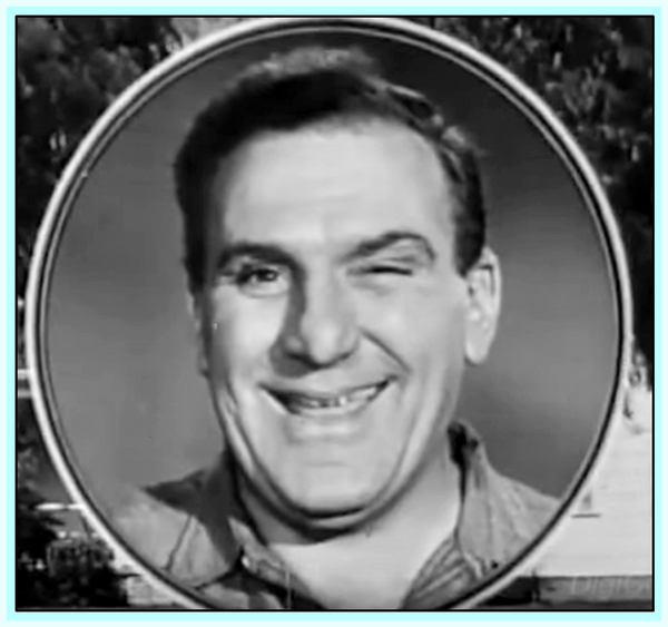 LIFE OF RILEY - TV SERIES - WILLIAM BENDIX - 28 DVDS – TV Museum DVDs